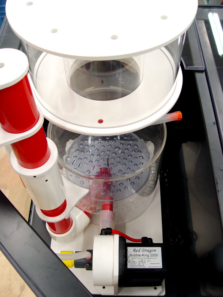 Custom Sump system by Royal Exclusiv is drool worthy - Reef Builders ...