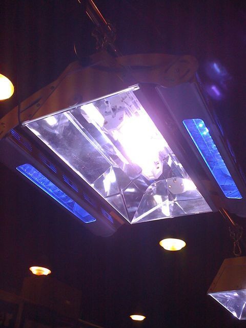 Actinic LED strip light metal halide pendant add on from ALS | Reef ...